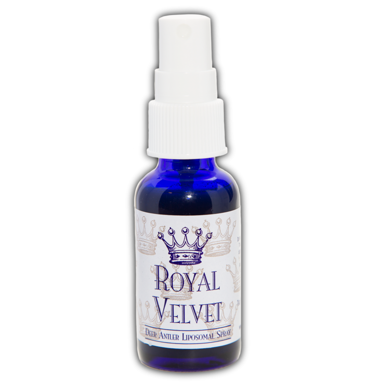 Royal Velvet Now | Royal Velvet Now